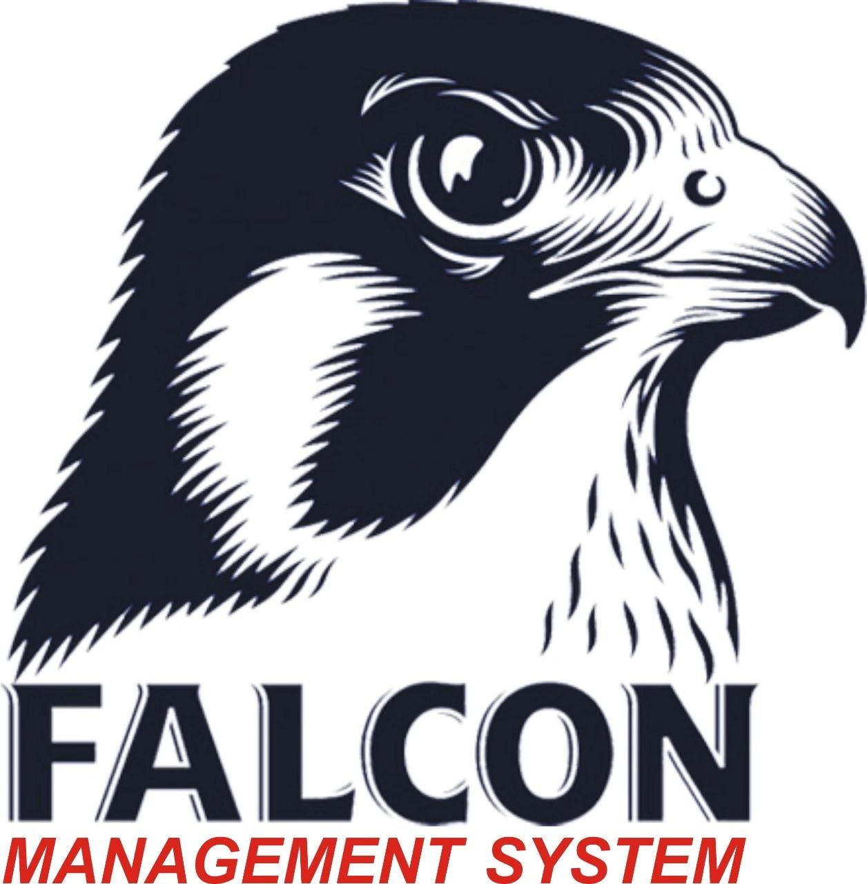 Falcon Management System | Falcon Management system ltd